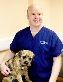 Steve Bright, Author at The Veterinary Expert| Pet HealthThe Veterinary ...